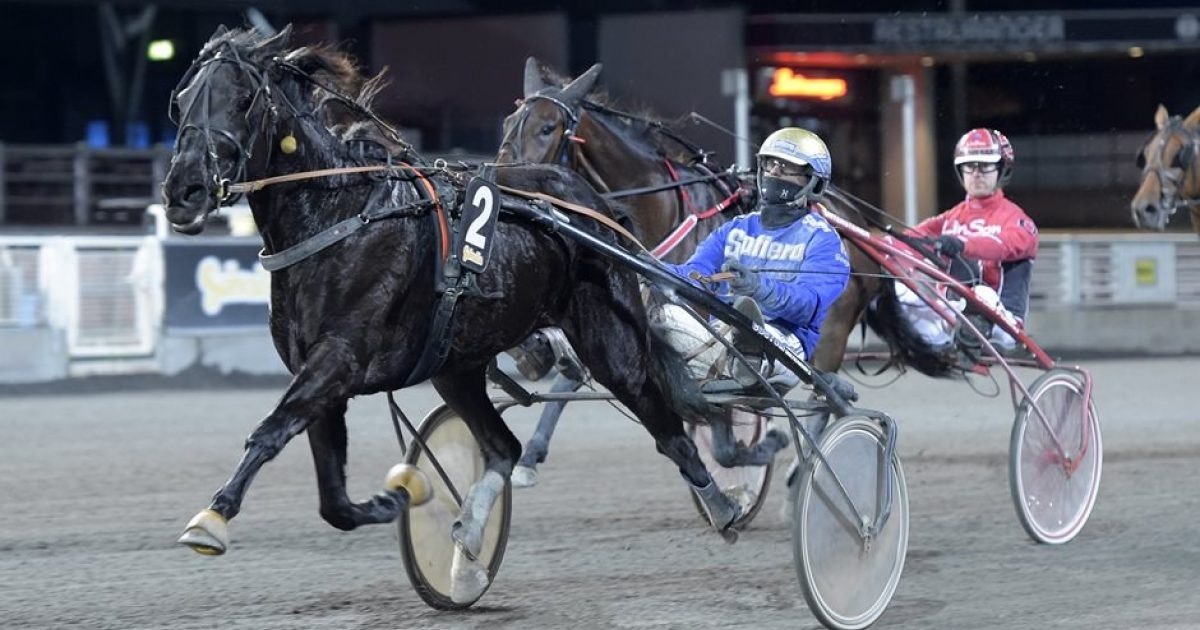 KOLLEN: Svenskhästarna i Paris! » 24 jan. | Prix d'Amérique