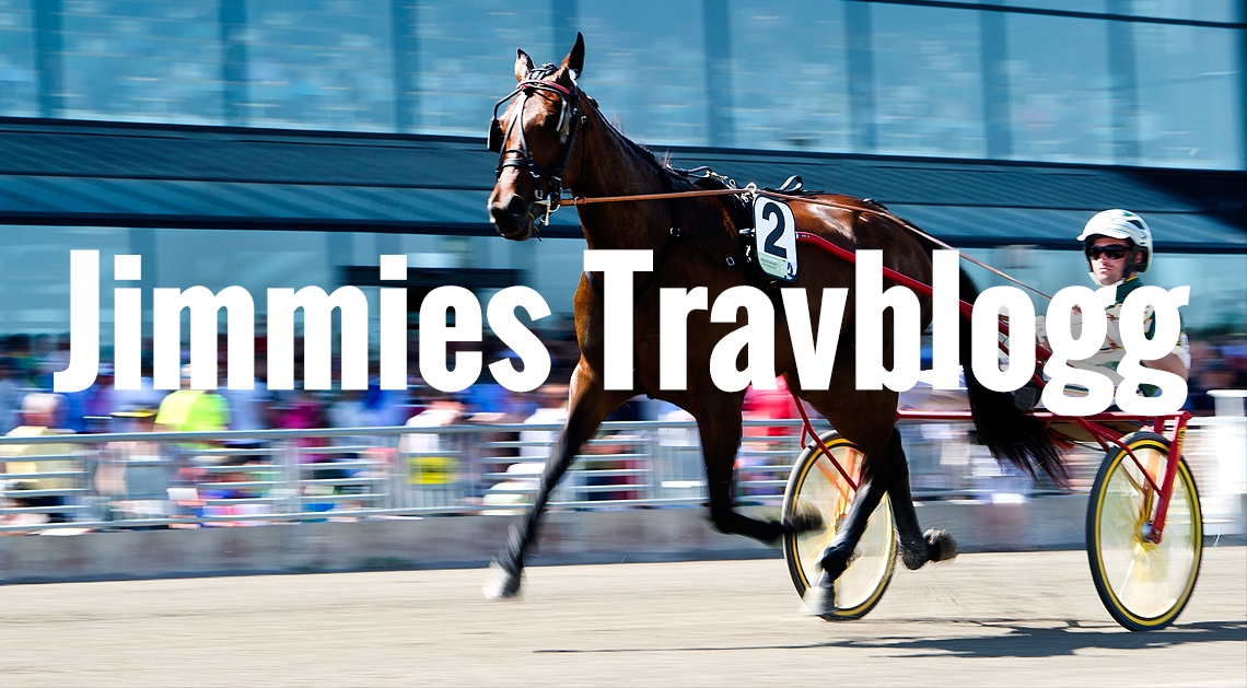 Travstugans andra andelshäst - hos Stall Henrik Svensson, Bergsåker